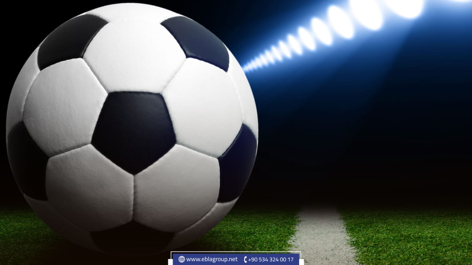 The most popular sports in Turkey | Ebla Group