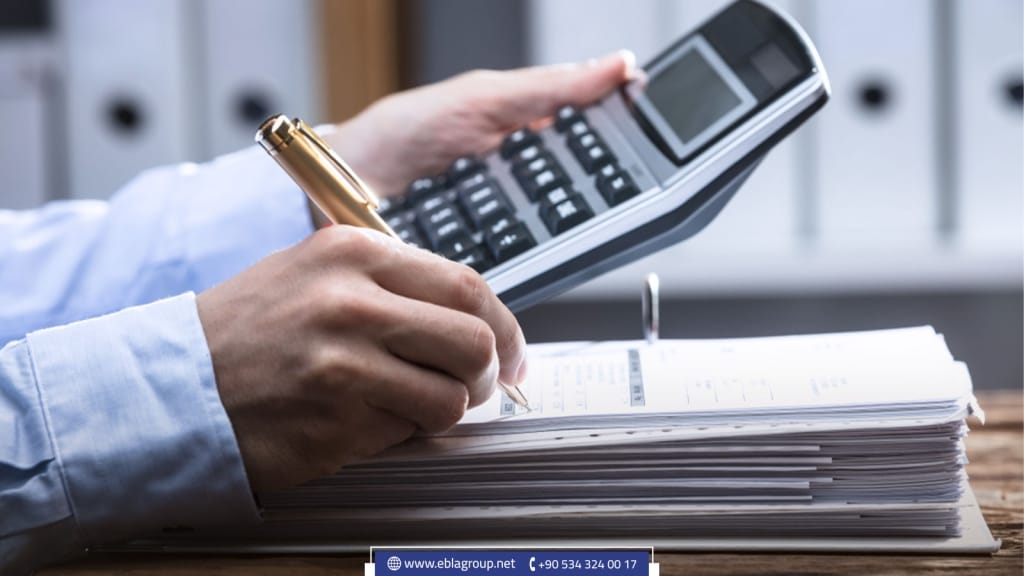 The chartered accountant for Companies in Turkey | Ebla Group